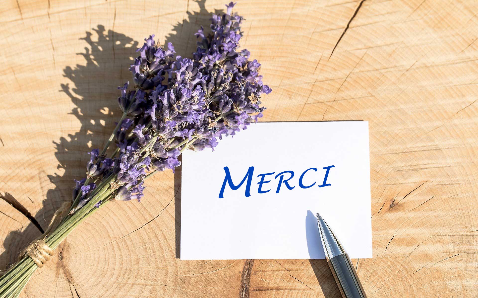 Bonne résolution de mars : je vis la Gratitude Active | Portail de la ...